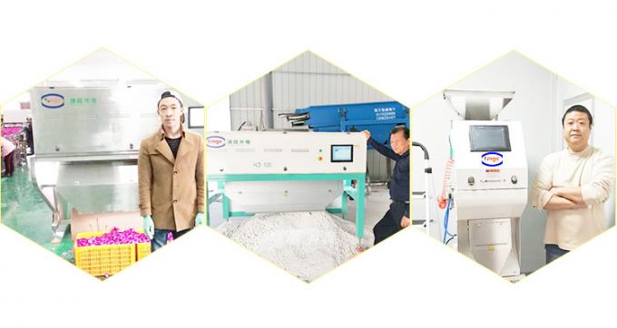 Soybean Grain Color Sorter